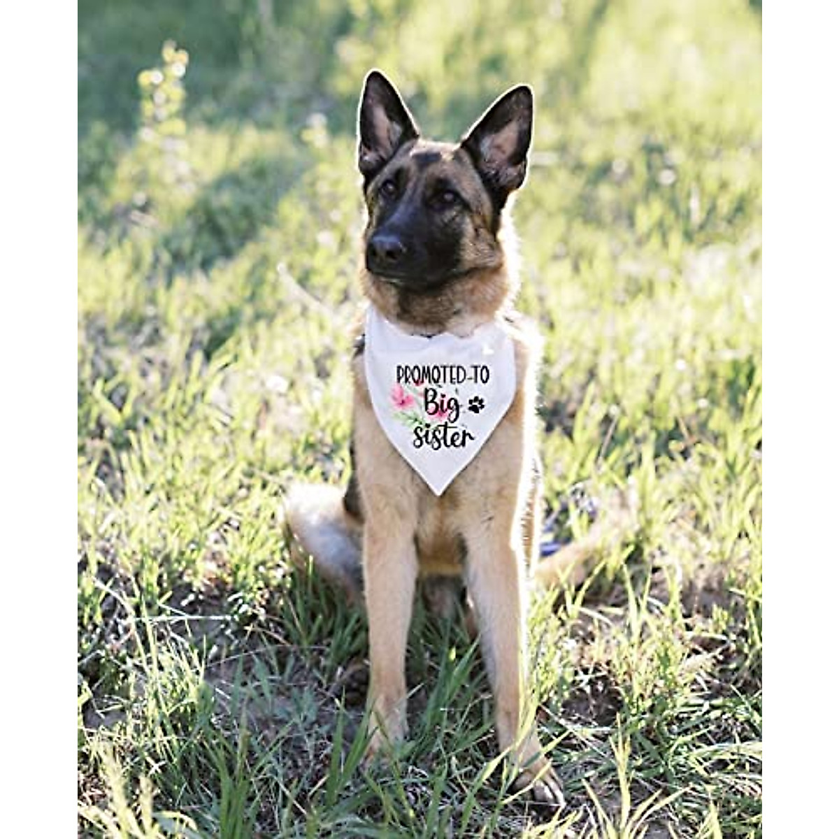 2 Pack Promoted to Big Brother Sister, White Flower Pattern Cotton Pet Dog Bandana, Pet Dog Pregnancy Announcement Gender Reveal Photo Prop for Dog Lovers Owner Gifts