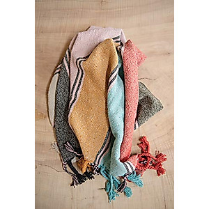 Creative Co-Op DF2410 60" L x 50" W Recycled Cotton Blend Striped Braided Fringe Throw, Multicolor