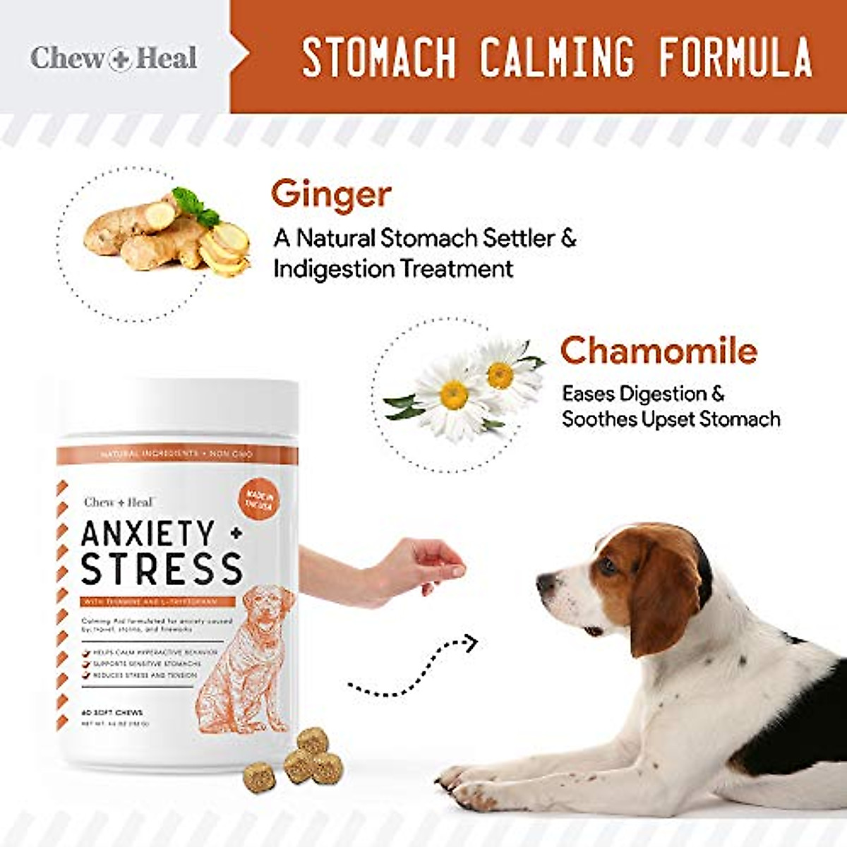 Chew + Heal Dog Calming Treats - 60 Soft Chews, Anxiety Supplement - Stress Relief Thiamine and L-Tryptophan for Travel, Storms, Fireworks - with Ginger and Melatonin - Made in The USA