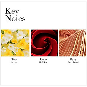 Elizabeth Arden Red Door, Body Powder for Women, Eau de Toilette, 5.3 Oz