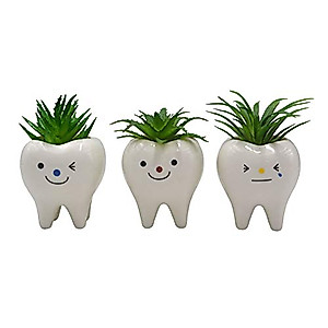MONMOB Pack of 3 Mini Shaped Tooth Planter Ceramic Succulent Plant Pots Set for Small Succulent Tooth Gifts for Adults Kids Women Dentist