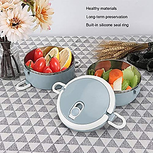 SALUTUY Lunch Box Food Storage, Food Jar Insulated Lunch Container Safe and Portable Stainless Steel for Hot Cold Food For Kids Adults,Man and Women(Double layer)