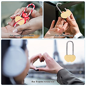 VeYocilk 3.5" 50mm Love Lock Double Heart Padlock Without Key for Lovers Wedding,Valentines,Anniversary,Travel(NO Key)