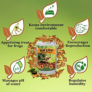 JOR Dwarf Frog Leaf Litter, Year Round Food for Your Frog, Nurtures Frogs and Indoor Plants, Creates A Frog Paradise, 100 pcs