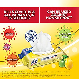 Lysol Disinfectant Handi-Pack Wipes, Multi-Surface Antibacterial Cleaning Wipes, for Disinfecting and Cleaning, Lemon and Lime Blossom, 480 Count (Pack of 6)