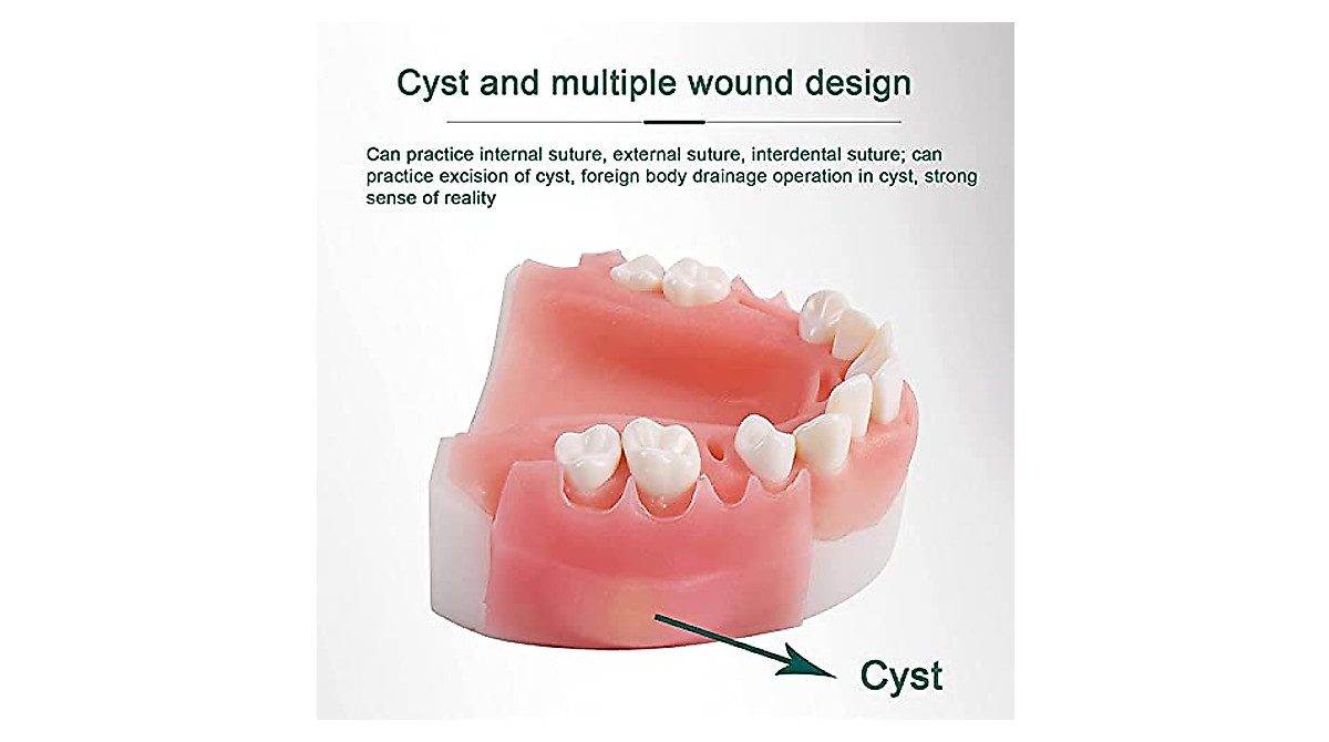 Teaching Model,Simulated Oral Suture Model Kits, Dental Suture Kit ...