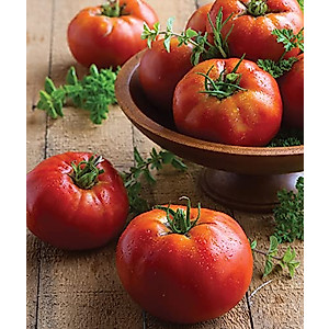 Burpee 'Big Daddy' Hybrid | Red Slicing Tomato | 35 Seeds