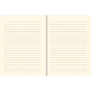 Nevertheless, She Persisted Journal