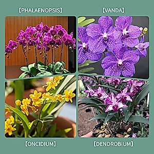 Orchid Potting Soil, Organic Barks Coconut Potting Soil Mix- 6 Qt, All Purpose Orchids Bricks Coarse Blend, Fast Draining Pre-Mixed Bonsai Soil for Indoor Orchid Plants 6L