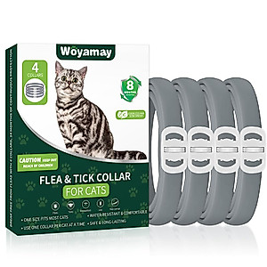4 Pack Flea Collar for Cats, Cat Flea and Tick Treatment, 8 Months Protection Flea and Tick Prevention for Cats, Waterproof Cat Flea Collar, Adjustable Cat Flea and Tick Collar for Cats Kittens, Grey