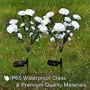 Solar Flower Lights Outdoor, 2 Pack Carnation Solar Garden Lights 49-LED, Waterproof Landscape Stake Lights, Used for Garden Courtyard Path Wedding Christmas and Mother's Day Decoration (White)