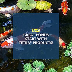 TetraPond Spring & Fall Diet Floating Pond Sticks, 1.72-Pound