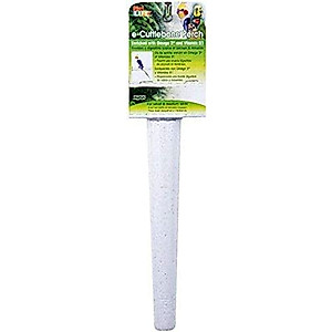 Penn Plax Bird Life e-Cuttlebone Perch 7" long (small-medium birds)
