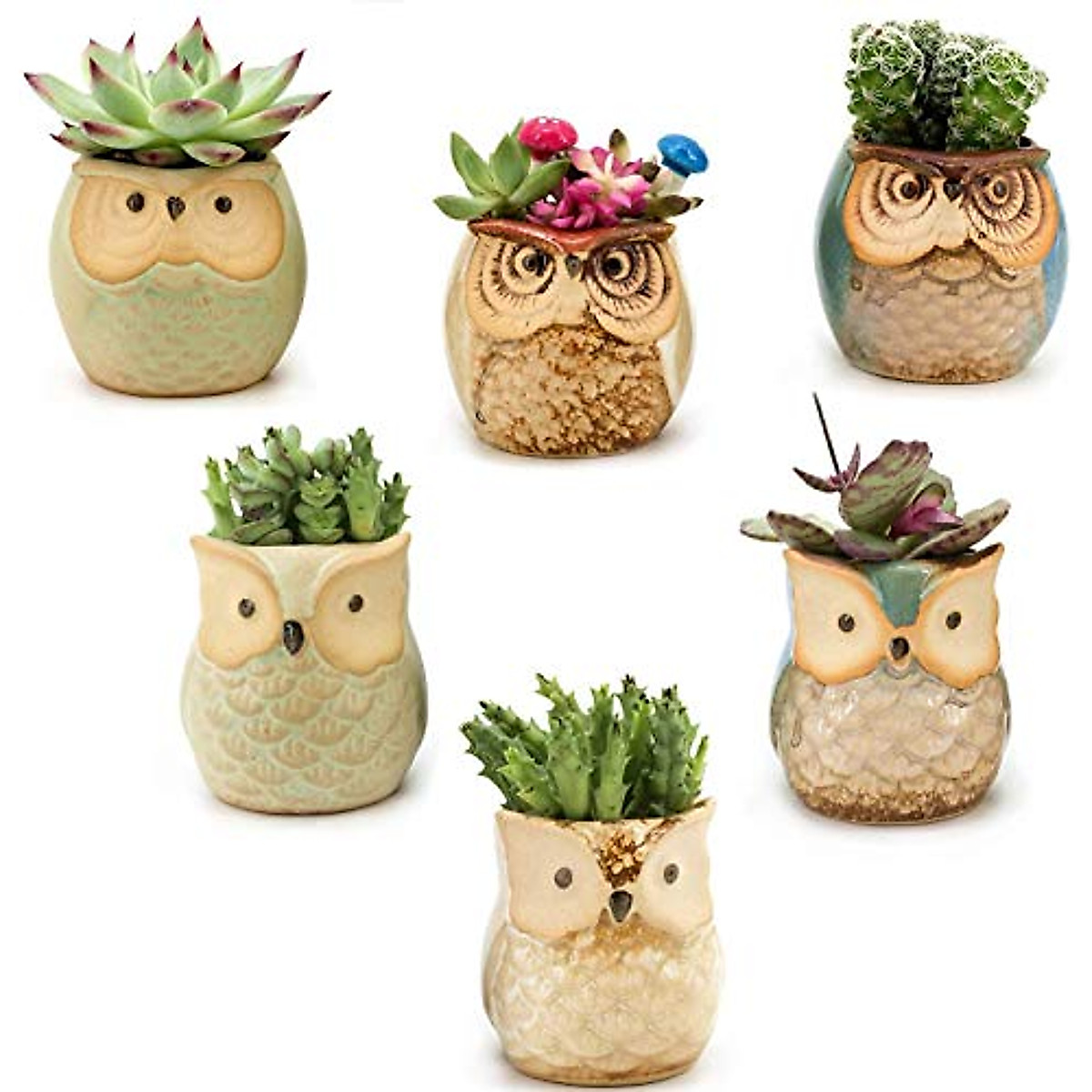 Weierken 12PCS Owl Pot Ceramic Flowing Glaze Base Serial Set Mini Succulent Plant Pot Cactus Plant Pot Container Planter Bonsai Pots with A Hole