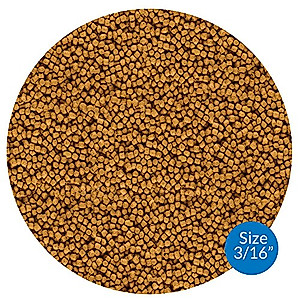 API POND FISH FOOD Pond Fish Food 1.56-Pound Bag
