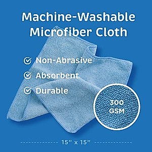 Black Swan Distributors - FOLEX Instant Carpet Spot Remover (32 oz) & Non-Abrasive, Washable Microfiber Cleaning Cloth (15x15 in) - Household Stain Treater Kit - Handheld Rug & Upholstery Cleaner
