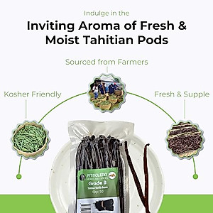 50 Tahitian Vanilla Beans Grade B for extract, Cooking and Baking by FITNCLEAN VANILLA| Fresh 5"-6" NON-GMO Whole Natural Raw Pods