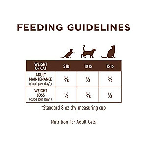 Instinct Limited Ingredient Diet Grain Free Recipe with Real Rabbit Natural Dry Cat Food, 10 lb. Bag