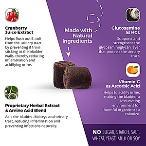 UroMAXX Dog Urinary Tract Infection Treatment, Bladder & Kidney Support for Dogs, Powerful Pet Care, Natural Soft Chews with Cranberry & Glucosamine, Made in The USA, Chicken Flavor, 90 Count, 1 Pack