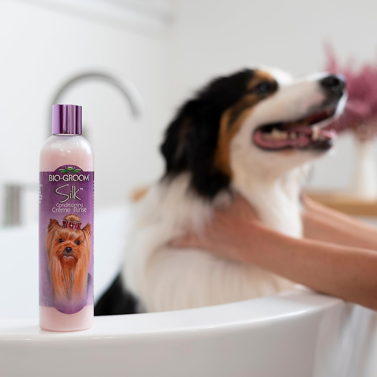 Bio-Groom Super White Shampoo and Silk Creme Rinse Conditioner - Dog Bathing Supplies, Puppy Shampoo, Puppy Conditioner, Cat & Dog Grooming Supplies for Sensitive Skin - 12 Fl Oz Each, 1-Pack