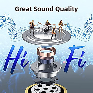 KBEAR Wooden iPhone Headphones Earbuds Earphones wtih Lightning Connector, [Apple MFi Certified] Lightning Headphones for iPhone with Microphone Controller, Compatible All Apple Devices Black