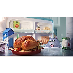 The Secret Life of Pets [DVD]