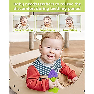 Teething Toys for Babies, 10 Pack Silicone Baby Teethers, Frozen Baby Teething Toys, Fruit Shape, BPA-Free, Natural Organic Soft & Textured