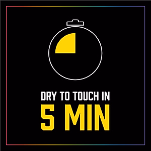 Seymour 20-1679 PBE Professional Trim Spray Paint, Semi-Gloss Black