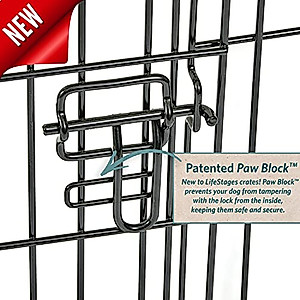MidWest Homes for Pets Large Dog Crate | MidWest Life Stages Folding Metal Dog Crate | Divider Panel, Floor Protecting Feet, Leak-Proof Dog Pan | 42L x 28W x 31H Inches, Large Dog