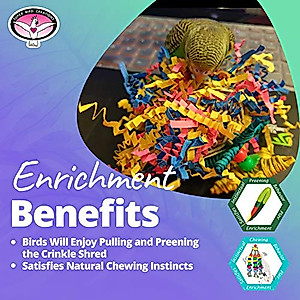 Super Bird Creations SB541 Crinkle Crinkle Little Star Bird Toy, Small Bird Size, 6" x 2"