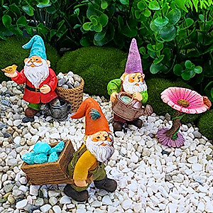 Mood Lab Miniature Gardening Gnomes Set of 4 pcs - 3,5" H Garden Gnome Figurines & Accessories Kit - Outdoor or House Decor