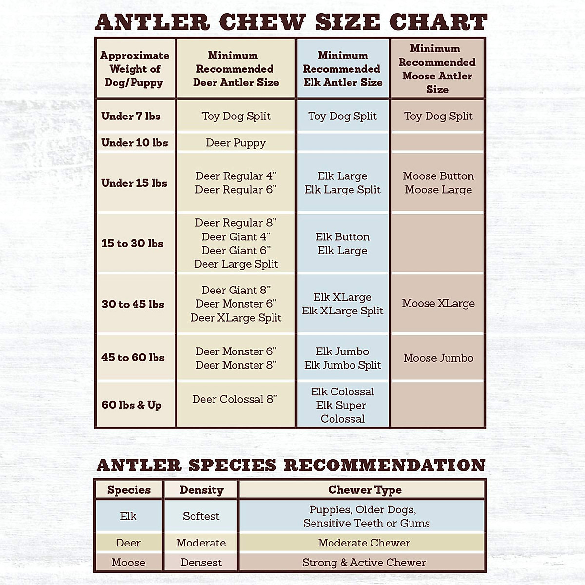 Prairie Dog Antlers | North American Split Moose Antler | MEDIUM | Naturally Shed | Hand Harvested | Nutrient Rich | 6-7.5 inches long