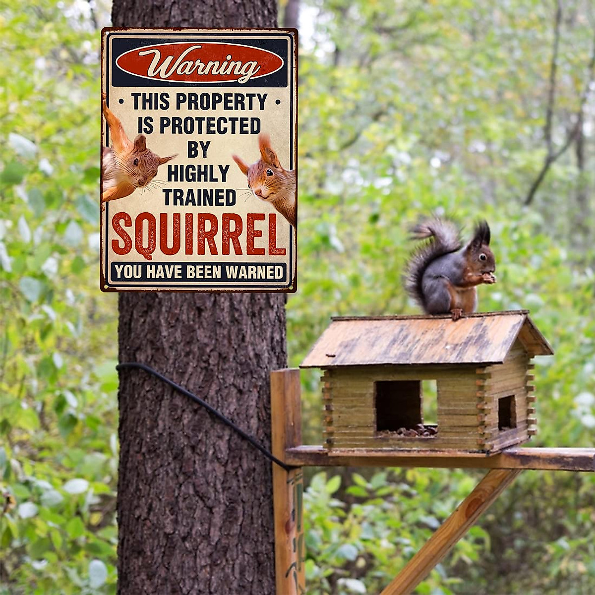 Funny Squirrels Sign, Warning Squirrel Gifts for Squirrel Lovers, Aluminum Sign Rust Free 9" X 11", Pre-Drilled Holes, Weather Resistant