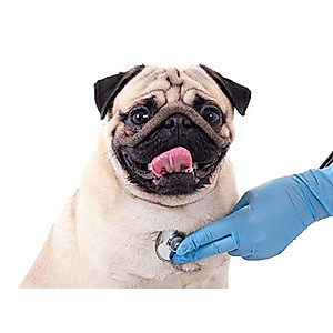 HAPPY PET VITAMINS LLC Dog Allergy Chews Itchy Skin - Dog Omega 3 - Healthy Skin Coat and Joints - Brain and Heart Health - Allergy Relief - Dog Omega Oil - 2 Bottles (360 Softgels)