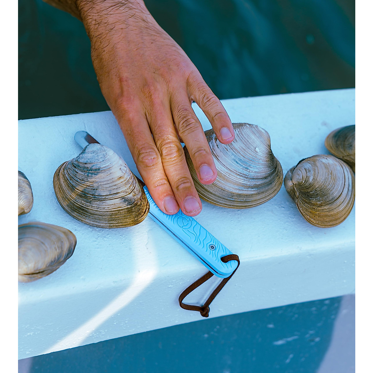Jetsam Eco-Friendly Clam Knife