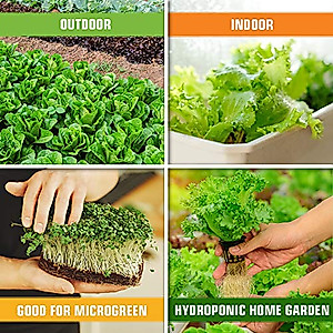 Heirloom Non-GMO Lettuce and Greens Seeds Variety Pack for Outdoor and Indoor Gardening & Hydroponics, 5000+ Seeds - Kale, Butter, Oak, Spinach, Romaine Bibb & More