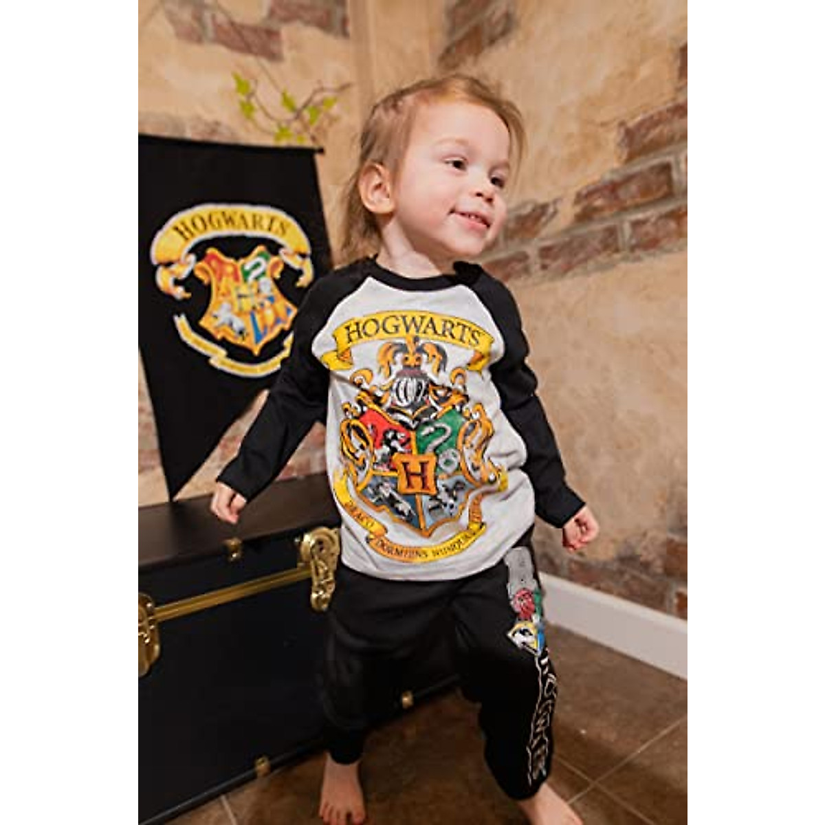 Harry Potter Gryffindor Hogwarts Little Boys 2 Pack T-Shirt Red/Grey 7-8