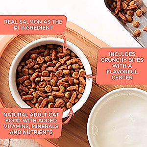 Rachael Ray Nutrish Savory Bites Dry Cat Food, Tasty Salmon & Veggies Recipe, 5 Pound Bag