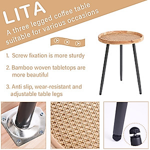 LITA Rattan Log Desktop Round Side End Table, Nightstand/Small Tables, Indoor Outdoor Wooden Tray Table with Metal Stand End Table for Living Room Bedroom Office Small Spaces