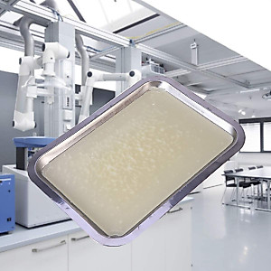 3pcs Wax Dissecting Tray Stainless Steel Thicken Dissection Pan Biological Equipment for Junior Senior Laboratory