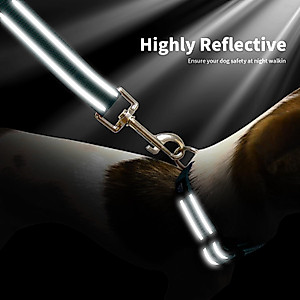 NESTROAD Reflective Dog Collar and Leash Set,Soft Neoprene Pet Collar with Quick Release Buckle,Adjustable Nylon Dog Collars for Small Medium Large Dogs(Medium Collar + 5FT Leash,Teal)