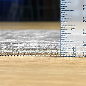 ODIKA 32x20 in Grey Dornier Entryway Rug, Doormat, Stain Resist, Patterned, Indoor