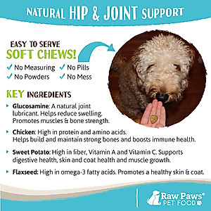 Raw Paws Hip and Joint Treats for Dogs, 10-oz/100-ct - Made in USA - Soft, Chewable Dog Arthritis Supplement - Dog Glucosamine Chews Increases Mobility, Reduces Pain, Inflammation & Hip Dysplasia