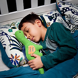 Maison Chic Plush Tooth Fairy Pillow for Little Boys and Girls About to Loose a Tooth (Dinosaur, Danny)
