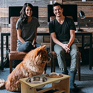 HTB Elevated Dog Bowls,Raised Dog Bowl Stand with 2 Stainless Steel Bowls,Elevated Raised Dog Bowls for Large Medium Small Sized Dogs