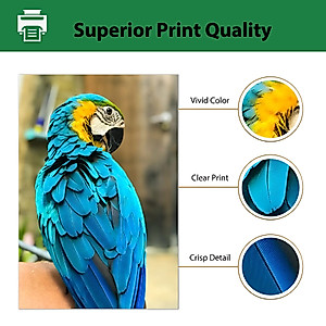 71B10Y0 Toner Cartridge Compatible for Lexmark CS317 CS417 CS517 CX317 CX417 CX517 Toner Cartridge for CS317dn CX317dn CS417dn CX417de CS517de CX517de Printers(1 Pack, Yellow, 2300 Pages Not OEM)