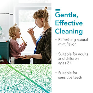 Biocidin Dentalcidin Oral Care System - Fluoride Free Toothpaste + Mouth Wash to Support Gum Health, Gentle Teeth Whitening & Biofilm Plaque Removal - for Adults & Kids