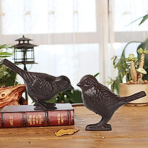 BRASSTAR Rustic Cast Iron Bird Statue Farmhouse Home Garden Decor Collectible Figurines Gift Replica Rust Color a Pair of Birds PTZD053