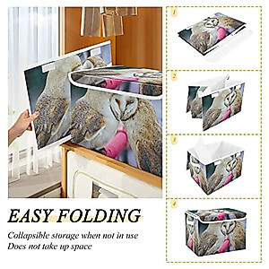 Kigai Storage Basket Cute Owl Storage Boxes with Lids and Handle, Large Storage Cube Bin Collapsible for Shelves Closet Bedroom Living Room, 16.5x12.6x11.8 In