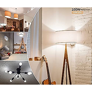 Amazing power 100W Equivalent E26 LED Bulbs, Daylight White Non-Dimmable Medium Screw Base Light Bulbs 6500K, 4-Pack